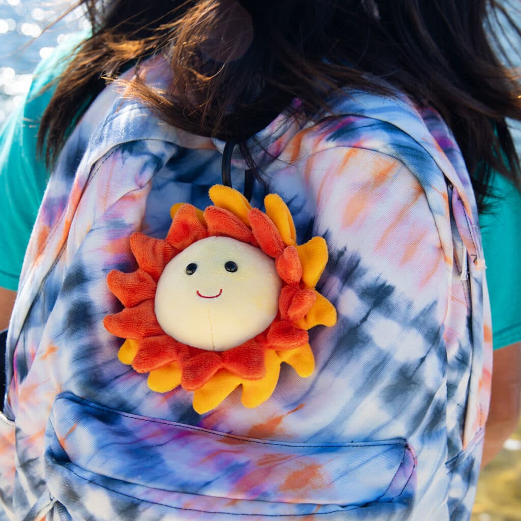 Rays & Shine Scentsy Buddy Clip