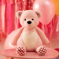 Benny Boo-Boo The Bear Scentsy Buddy