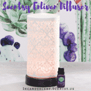 ENCHANT SCENTSY DIFFUSER | Scentsy® Buy Online | Scentsy Warmers and ...