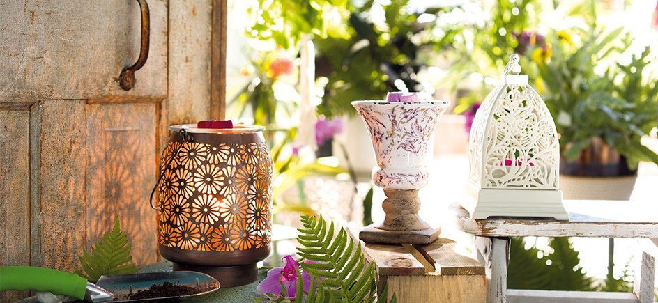 SCENTSY DAISY LANTERN WARMER | Scentsy® Buy Online | Scentsy Warmers ...