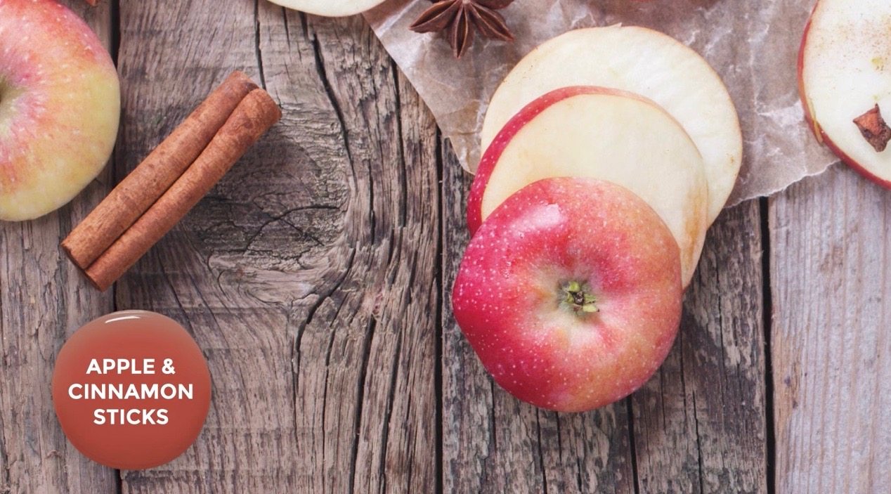 Apple and Cinnamon Sticks Scentsy Bar | Shop Scentsy | Incandescent ...