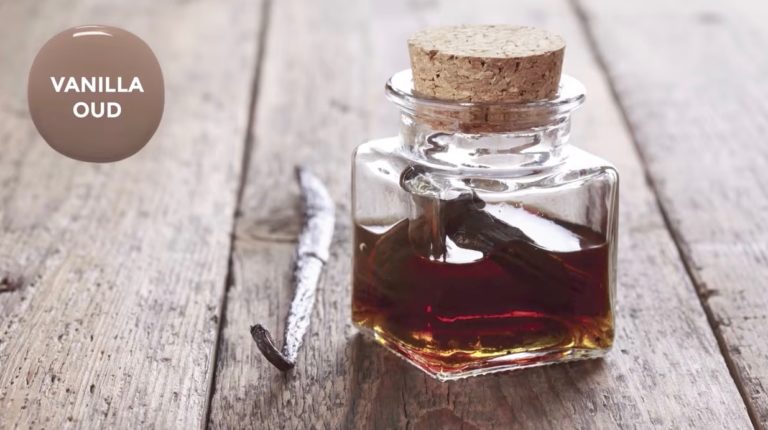 VANILLA OUD SCENTSY SCENT CIRCLE