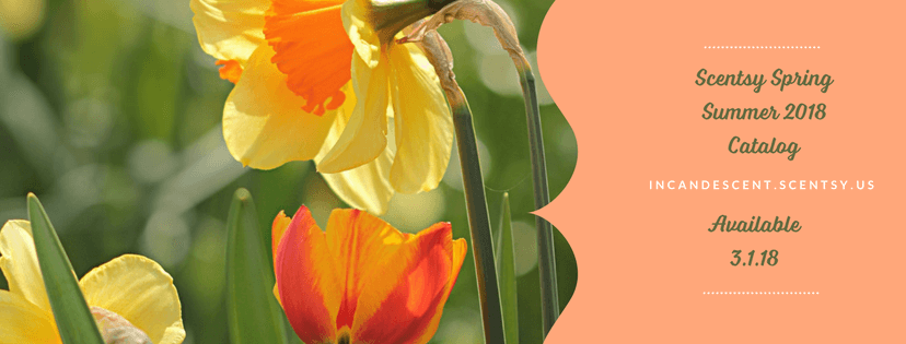 SCENTSY SPRING SUMMER 2018 CATALOG SCENTSY WARMERS, SCENTS & PRODUCTS ...
