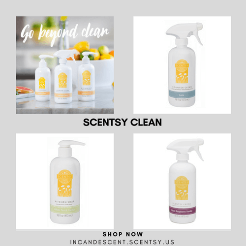 Scentsy® Buy Online | Scentsy Warmers and Scents | Incandescent.Scentsy.us