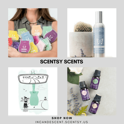 Scentsy® Buy Online | Scentsy Warmers and Scents | Incandescent.Scentsy.us
