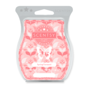 SCENTSY WARMER AND SCENT OF THE MONTH | Scentsy® Buy Online | Scentsy ...