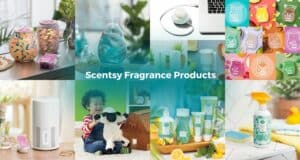 About Scentsy Products, Scentsy Candle Warmers & Bars | Incandescent ...