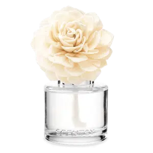 Scentsy 2023 Spring Summer Catalog | Incandescent.Scentsy.us