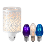 Brighten My Daisy Scentsy Mini Warmer Bundle