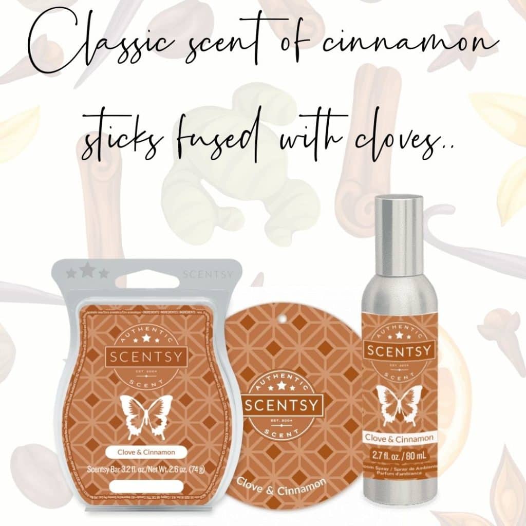 Clove & Cinnamon Scentsy Scent Circle 3 Pack Bundle | Fall 2024 Catalog