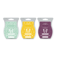 What Is A Scentsy Warmer? Get Started! | Incandescent.Scentsy.us