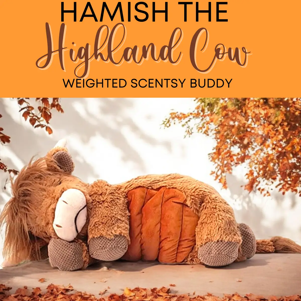 Hamish The Highland Cow Returning As A Weighted & Warming Scentsy Buddy ...