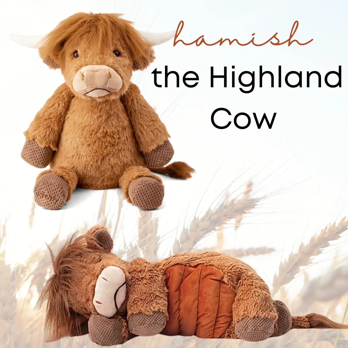 Hamish The Highland Cow Weighted & Warming Scentsy Buddy Arriving ...