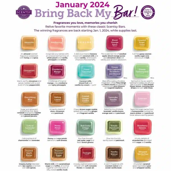 Everything Nice Scentsy Bar | BBMB January 2024 | Incandescent.Scentsy.us