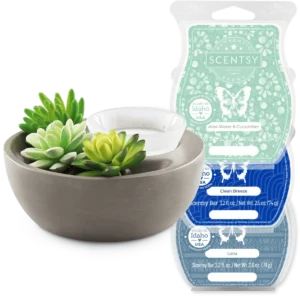 Scentsy Bundle & Save Options | Special Bundle Pricing | Incandescent ...