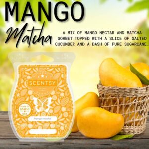 Mango Matcha Scentsy Wax Bar