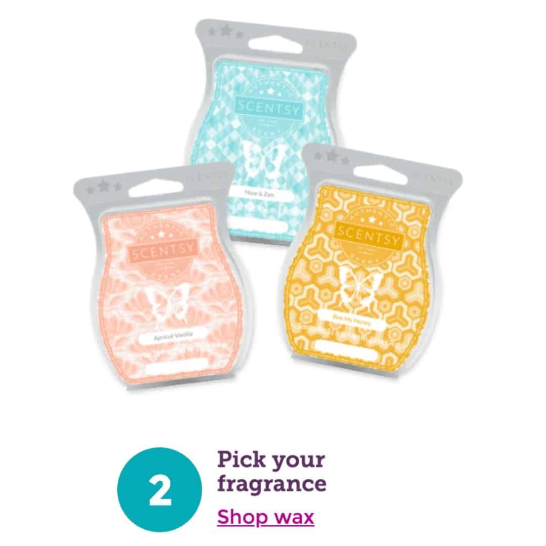 What is a Scentsy Warmer? | Scentsy® Online Store | Scentsy Warmers ...