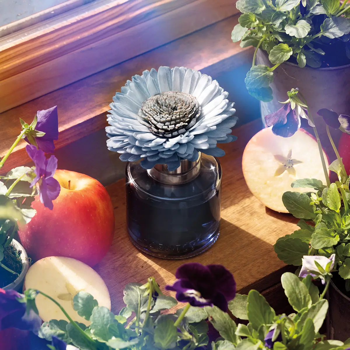 Quaint Country Rain Scentsy Fragrance Flower | Puddles & Petals