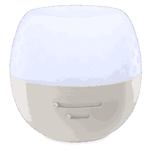 Fleur Gray Deluxe Scentsy Diffuser