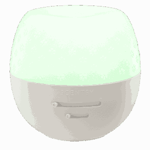 Fleur Gray Deluxe Scentsy Diffuser