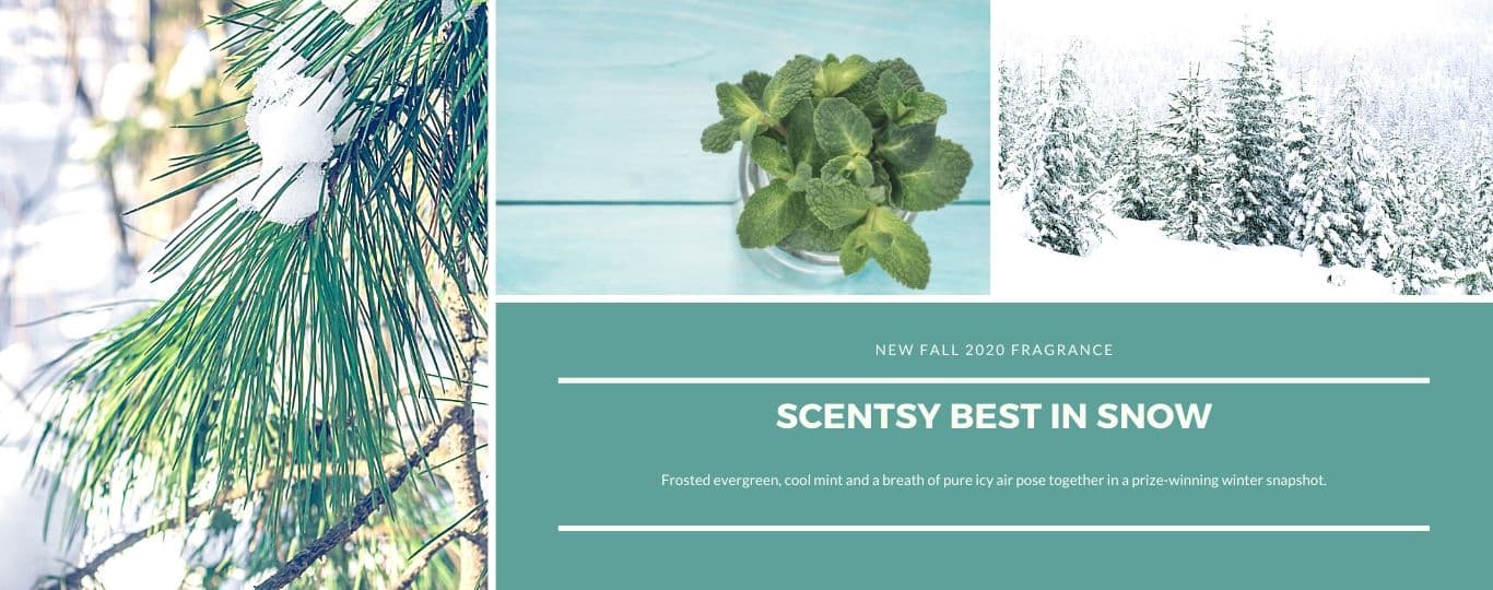 BEST IN SNOW SCENTSY FRAGRANCE | Scentsy® Online Store | Scentsy ...