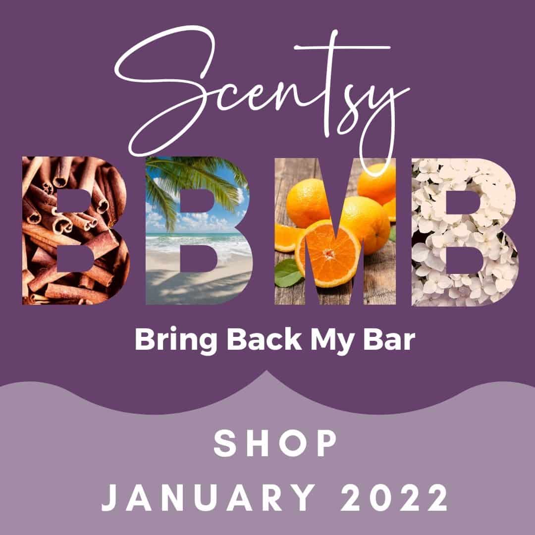 ALADDIN SCENTSY WAX COLLECTION BUNDLE | Incandescent.Scentsy.us
