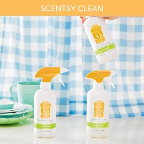Scentsy® Buy Online | Scentsy Warmers, Wax & Products | Scentsy Online ...