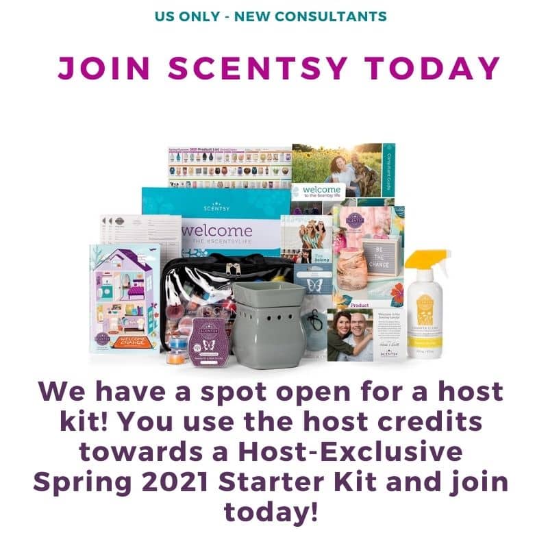 SCENTSY EDISON BULB WARMERS | Incandescent.Scentsy.us