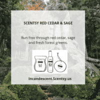 SCENTSY 2019 ScenTrend - Woods Fragrances | Incandescent.Scentsy.us
