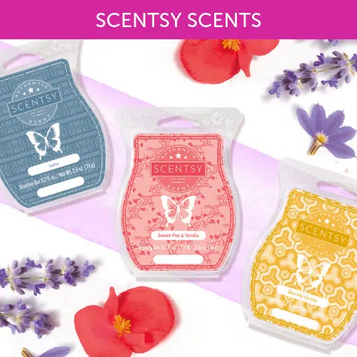 Order Scentsy Wax Melts | Authentic Scentsy Bars | Shop Scentsy ...