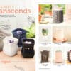Alabaster Mini Scentsy Warmer