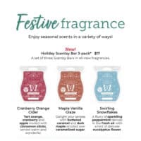 Swirling Snowflakes Scentsy Bar