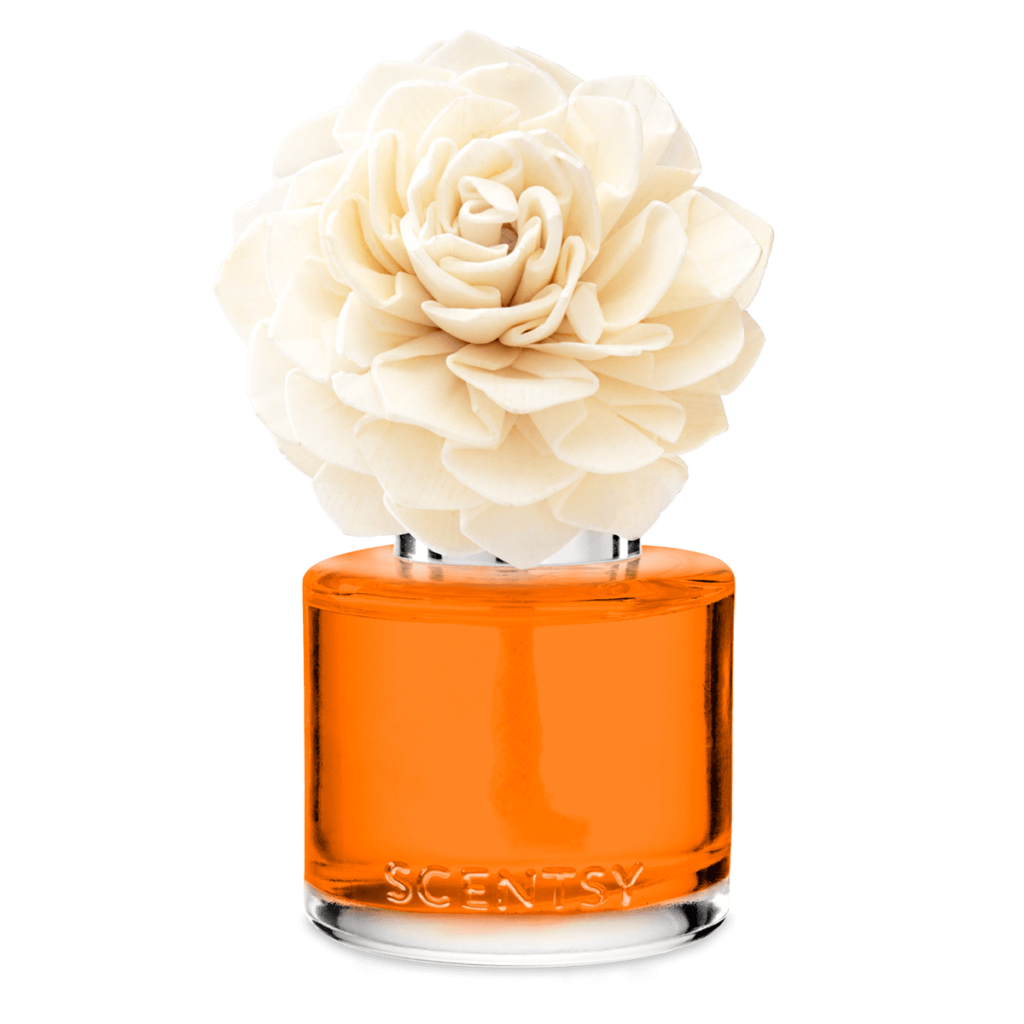 Simply The Zest Scentsy Fragrance Flower | Valentine's Day 2024