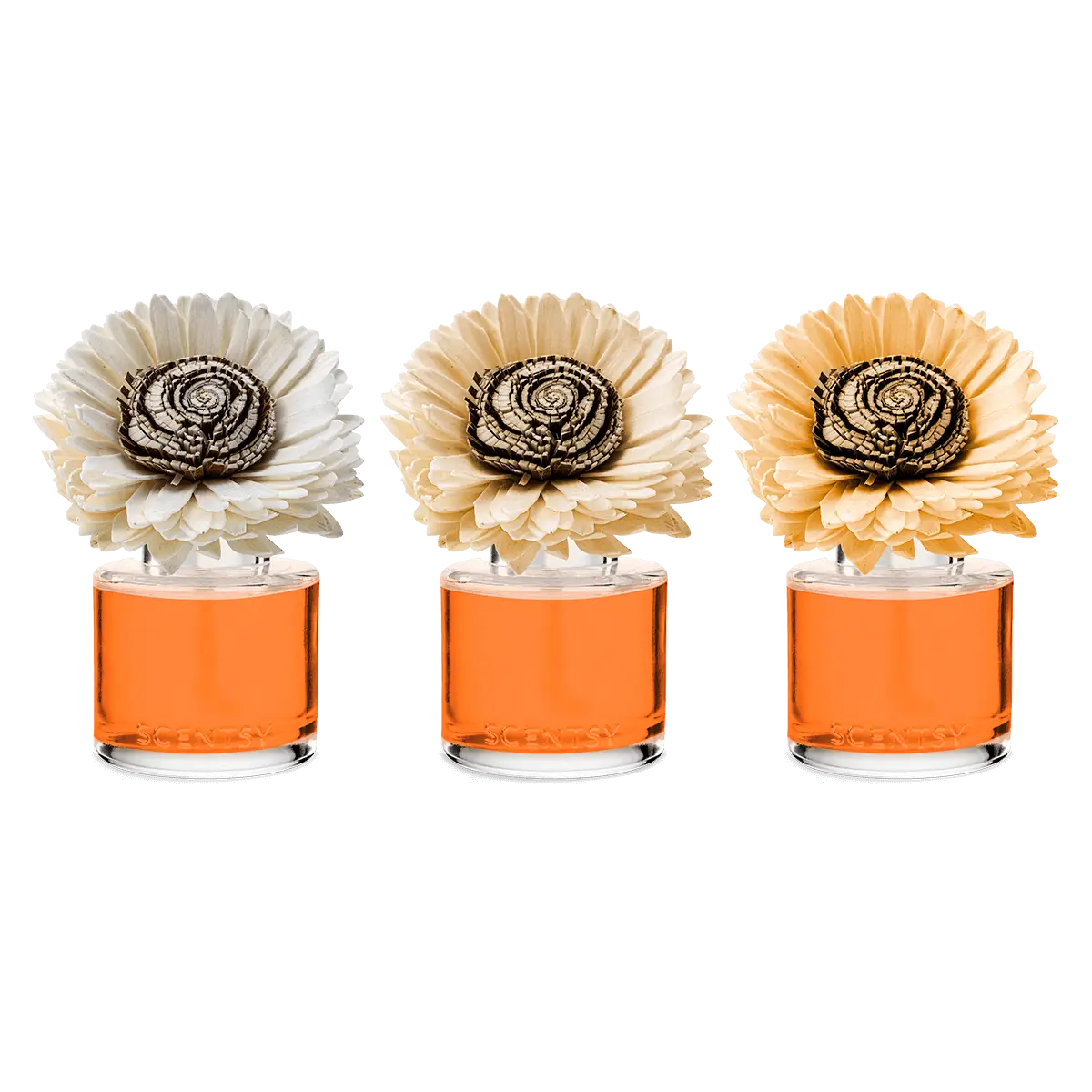 Sparkling Spiced Citrus Sunflower Scentsy Fragrance Flower