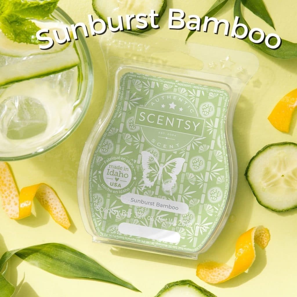 Sunburst Bamboo Scentsy Bar
