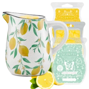 Scentsy Bundle & Save Options | Special Bundle Pricing | Incandescent ...