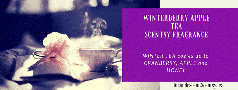Winterberry Apple Tea Scentsy Bar | Shop Scentsy | Incandescent.Scentsy.us