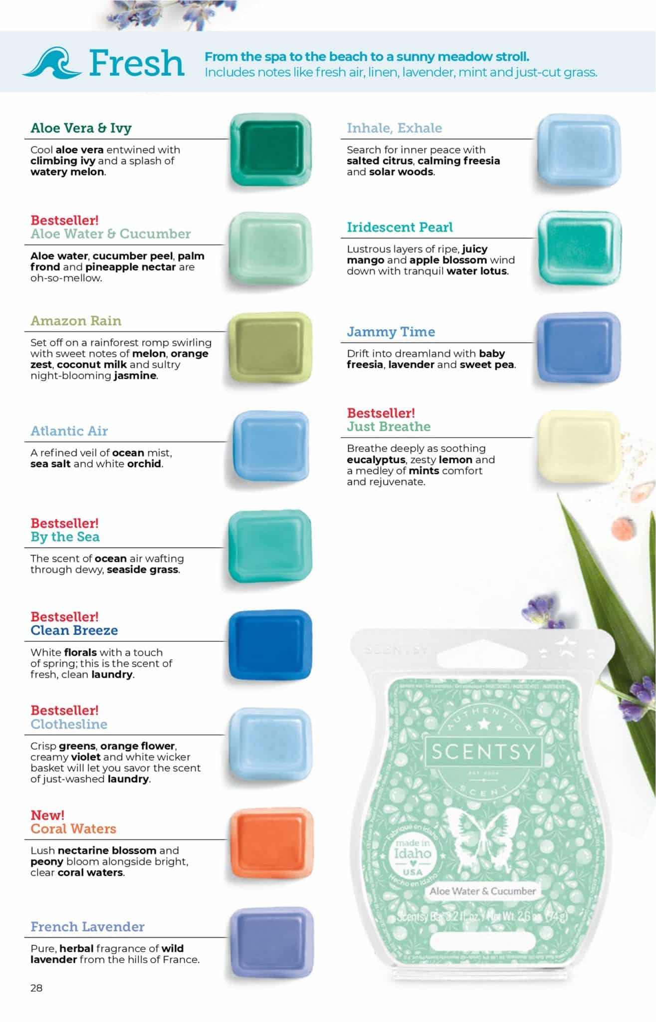 Scentsy Complete Scent List For 2021 Spring Summer | Incandescent ...