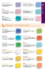 Scentsy Complete Scent List for 2021 Spring Summer | Incandescent ...