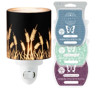 Scentsy Bundle & Save Options | Special Bundle Pricing | Incandescent ...